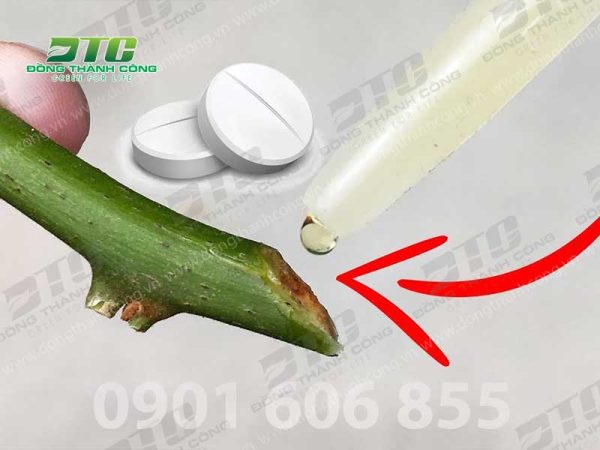 5+ Thuốc kích rễ cây hiệu quả nhất, tốt nhất cho cây trồng