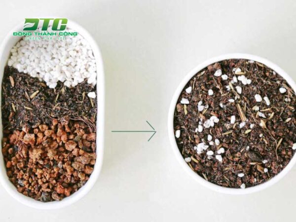 Tư vấn cách trộn đất trồng cây cảnh tại nhà hiệu quả nhất