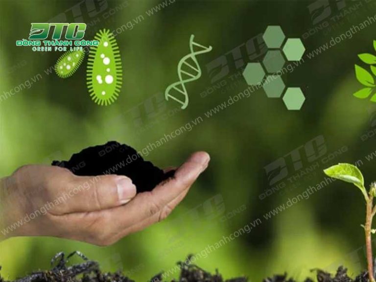 Phân vi sinh là gì? Tư vấn chi tiết cách dùng phân vi sinh