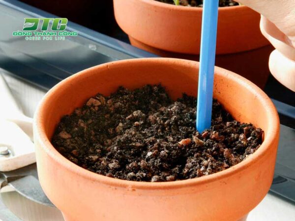 Hướng dẫn cách giâm cành hiệu quả cho bà con nông dân