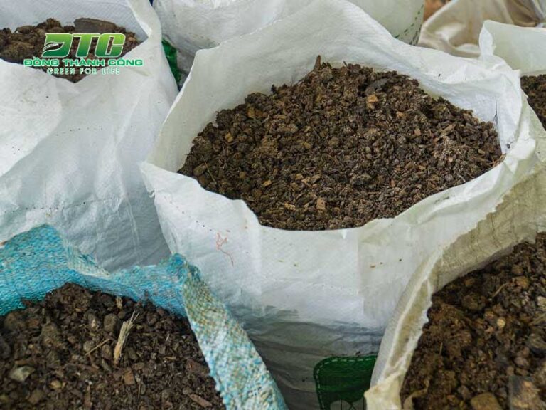 Top 6+ cách ủ phân gà hữu cơ bón cây trồng hiệu quả nhất