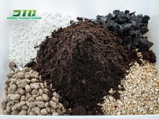 Tư vấn cách trộn đất trồng rau tại nhà hiệu quả